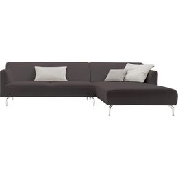 Creation BY ROLF BENZ Ecksofa &raquo;CR.446 elegantes Designsofa mit hohem Sitzkomfort&laquo; in minimalistischer, schwereloser Optik, Breite 275 cm grau B/H/T: 