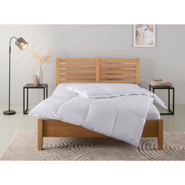 OTTO home Daunenbettdecke &raquo;Moulle, Bettdecke 135x200 cm und 155x220 cm&laquo; warm F&uuml;llung 90% Daunen & 10% Federn 1 Stk. tlg. Bettdecken, Sommer oder 