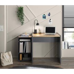 Home Affaire B&uuml;rom&ouml;bel-Set &raquo;CITY/GiRON, modernes Design, Homeoff., B&uuml;ro in zwei Farben/Wotan Eiche&laquo; Set, 2 Stk. tlg. enth&auml;lt Schreibtischunterschrank,