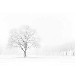 ARCHITECTS PAPER Fototapete &raquo;Standing Alone&laquo; Vlies, Wand, Schr&auml;ge braun Vlies B/L: 4m x 2,7m