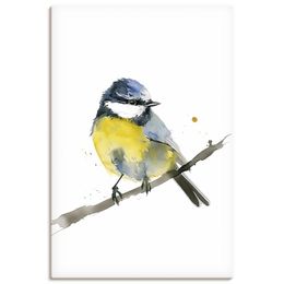 Artland Wandbild &raquo;Aquarell Blaumeise&laquo; Vogelbilder 1 Stk. tlg. als Alubild, Leinwandbild, Poster, Wandaufkleber in verschied. Gr&ouml;&szlig;en Leinwand B/H/T: 20cm x 