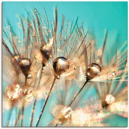 Artland Leinwandbild &raquo;Pusteblume Goldener Tau&laquo; Blumen 1 Stk. tlg. auf Holzrahmen gespannt blau Leinwand B/H/T: 30cm x 30cm, Leinwandbild Blumen quadratisch, 1