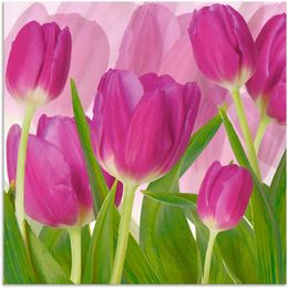 Artland Wandbild &raquo;Tulpenfeld lila&laquo; Blumen 1 Stk. tlg. als Alubild, Leinwandbild in verschied. Gr&ouml;&szlig;en lila B/H/T: 40cm x 40cm, Alu-Dibond-Druck Blumen, 1 Stk.