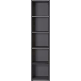 Germania Aktenregal &raquo;GW-Agenda Aktenregal&laquo; mit verstellbaren Einlegeb&ouml;den, Breite 45 oder 80 cm, Made in Germany grau Holzwerkstoff B/H/T: 45cm x 