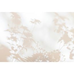 Livingwalls living walls Fototapete &raquo;Walls by Patel Shadow Room&laquo; glatt Vlies, Wand beige Vlies B/L: 4m x 2,7m