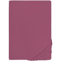Biberna Spannbettlaken &raquo;THEA Baumwoll-Jersey mit Elasthan, 160 g/m&sup2;&laquo; Bettlaken f&uuml;r Matratzen bis 25 cm H&ouml;he, pflegeleicht, b&uuml;gelfrei lila Jersey-Elasthan, 