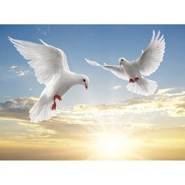 papermoon Fototapete &raquo;White Doves&laquo; glatt bunt Vlies B/L: 1,5m x 1,11m, Bahnen: 7 Stk.