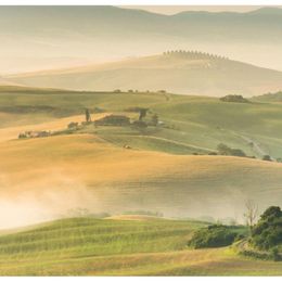 Express K&uuml;chen K&uuml;chenr&uuml;ckwand &raquo;Toscana&laquo; gr&uuml;n B/H: 60cm x 55,9cm K&uuml;chenr&uuml;ckwand