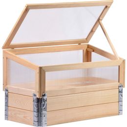 Dobar Fr&uuml;hbeet mit Untersatz Gr. M, transparent, Kiefer beige Holzwerkstoff B/H/T: 40cm x 50cm x 76cm