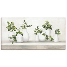 Artland Wandbild &raquo;Plant Life&laquo; Vasen & T&ouml;pfe 1 Stk. tlg. als Alubild, Leinwandbild, Poster, Wandaufkleber in verschied. Gr&ouml;&szlig;en Leinwand B/H/T: 150cm x 75cm, 