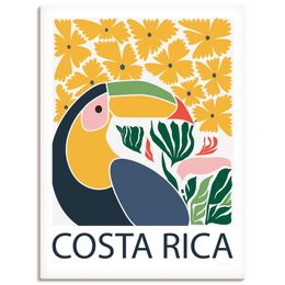 Artland Wandbild &raquo;Costa Rica&laquo; Vogelbilder 1 Stk. tlg. als Alubild, Leinwandbild, Poster, Wandaufkleber in verschied. Gr&ouml;&szlig;en bunt Leinwand B/H/T: 45cm x 60cm, 