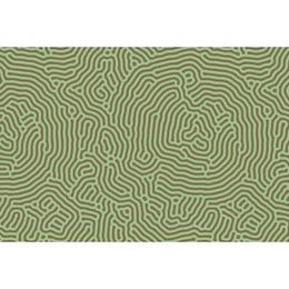 Livingwalls living walls Fototapete &raquo;Walls by Patel Sahel&laquo; glatt Vlies, Wand gr&uuml;n Vlies B/L: 4m x 2,7m