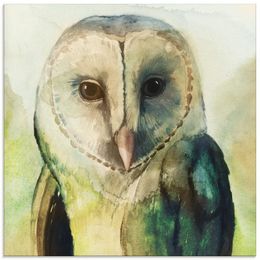 Artland Glasbild &raquo;Eule I&laquo; V&ouml;gel 1 Stk. tlg. in verschiedenen Gr&ouml;&szlig;en braun B/H/T: 50cm x 50cm, Glasbild V&ouml;gel quadratisch, 1 Stk.