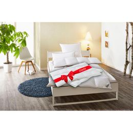 fj&ouml;dur fj&ouml;dur Daunenbettdecke &raquo;Fabian 2f&uuml;r1, Bettdecke f&uuml;r Sommer, Winter, alle W&auml;rmeklassen&laquo; extrawarm F&uuml;llung 60% Daunen & 40% Federn 2 Stk. tlg. Bettdecke