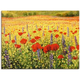 Artland Leinwandbild &raquo;Mohnblumenfeld&laquo; Felder 1 Stk. tlg. auf Holzrahmen gespannt bunt Leinwand B/H/T: 120cm x 90cm, Leinwandbild Felder Querformat, 1 Stk.