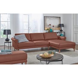 Creation BY ROLF BENZ Ecksofa &raquo;CR.450, Designecksofa, L-Form&laquo; Armlehne Schnecke modern Landhaus, Breite 262 cm, Fu&szlig; Nussbaum braun NaturLEDER OSKAR (