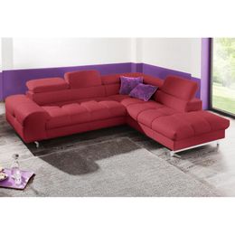 COTTA Ecksofa &raquo;Chef L-Form&laquo; mit Kopfteilverstellung, edle Metallkufen, optional Schlaffunktion Luxus-Microfaser (100% Polyester);Kunstleder Softlux ;