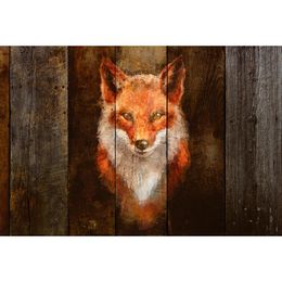 ARCHITECTS PAPER Fototapete &raquo;Atelier 47 Polygon Fox 2&laquo; Holz glatt Vlies, Wand, Schr&auml;ge, Decke bunt Vlies B/L: 4m x 2,7m