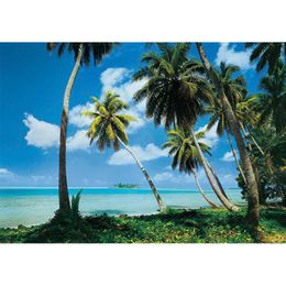 papermoon Fototapete &raquo;Tahiti&laquo; glatt bunt Vlies B/L: 2,5m x 1,86m, Bahnen: 5 Stk.