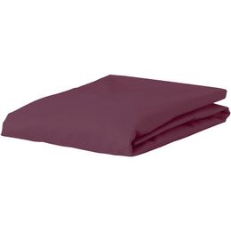 Esprit Spannbettlaken &raquo;SHEET&laquo; mit Gummizug rot Jersey-Elasthan, Obermaterial: 95% Baumwolle, 5% Elasthan B/L: 150cm x 200cm, 1 Stk., Jersey-Elasthan, 150-