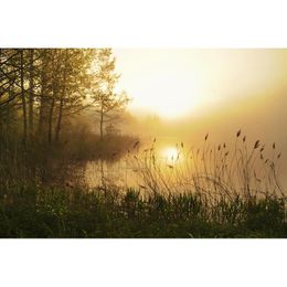 papermoon Fototapete &raquo;Stunning Foggy Landscape&laquo; glatt bunt Vlies B/L: 2m x 1,49m, Bahnen: 4 Stk.