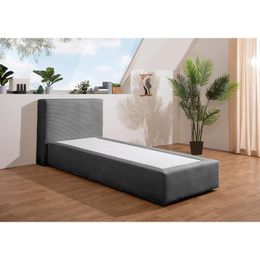 Home Affaire Boxspringbett &raquo;&Aring;by&laquo; In Cord Bezug, wahlweise mit und ohne Matrazte erh&auml;ltlich grau Cord ohne Matratze/ohne Topper, Liegefl&auml;che B/L: 100cm