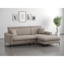 Trends by HG Ecksofa &raquo;Nizza, L-Form, B: 250cm&laquo; mit Schlaffunktion und Bettkasten beige 92% Polyester;8% Nylon B/H/T: 250cm x 104cm x 166cm, Struktur, 