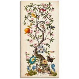 Artland Leinwandbild &raquo;Chinoiserie Natur I&laquo; Pflanzen 1 Stk. tlg. auf Holzrahmen gespannt beige B/H/T: 30cm x 60cm, Leinwandbild Pflanzen Hochformat, 1 Stk.