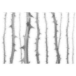 ARCHITECTS PAPER Fototapete &raquo;Atelier 47 Blurred Thorns 2&laquo; floral glatt Vlies, Wand, Schr&auml;ge, Decke grau Vlies B/L: 4m x 2,7m
