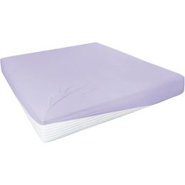 Primera Spannbettlaken &raquo;Elasthan-Feinjersey&laquo; PREMIUM, aus 95% gek&auml;mmter Baumwolle und 5% Elasthan, bis 28 cm H&ouml;he lila Jersey-Elasthan, Obermaterial: 95% 