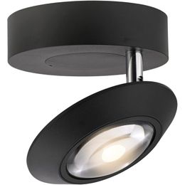 Neuhaus PURE LED Deckenleuchte &raquo;PURE Oculis&laquo; LED-Board 1 Stk. Warmwei&szlig; Dimmf&auml;hig &uuml;ber separaten Tronicdimmer, dreh- & schwenkbar 1, &Oslash; 15cm H: 8cm, 1 