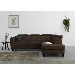 Sit & More sit&more Ecksofa &raquo;Belluci L-Form&laquo; inklusive Federkern, wahlweise mit Schlaffunktion und Bettkasten braun B/H/T: 249cm x 85cm x 195cm, Luxus-Microfaser