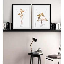 queence Bild &raquo;Potentilla fruticosa&laquo; Pflanzen Pflanzenbilder Schriftzug 1 Stk. tlg. HD Premium Poster-Druck inkl. Holzrahmen braun Acrylglas, Holz, 
