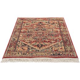 Theko Wollteppich &raquo;Saharna 2886&laquo; rechteckig 10 mm H&ouml;he reine Wolle, Orient-Optik, mit Fransen rot Wolle B : 300cm 1 Stk., 10mm, L: 395cm