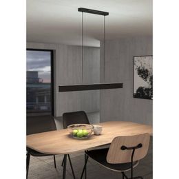 Eglo H&auml;ngeleuchte &raquo;ANDREAS-Z&laquo; LED-Modul 1 Stk. RGB warmwei&szlig; - kaltwei&szlig; Timer, App / Sprachsteuerung Alexa, 117x7x110cm, exkl. Fernbedienung schwarz-