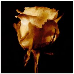 Artland Glasbild &raquo;Vergoldete Rose&laquo; Blumen 1 Stk. tlg. in verschiedenen Gr&ouml;&szlig;en gold B/H/T: 50cm x 50cm, Glasbild Blumen quadratisch, 1 Stk.