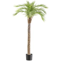 Creativ green Kunstpalme &raquo;Macauba Palme&laquo; mit hohem Stamm gr&uuml;n Kunststoff B/H/L: 175cm, 1 Stk.
