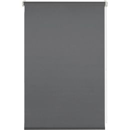Gardinia Seitenzugrollo &raquo;Uni Klemmrollo&laquo; Lichtschutz Sichtschutz mit Bohren/ohne Bohren freih&auml;ngend Schraubmontage m&ouml;glich grau Polyester 150cm, 