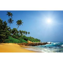 papermoon Fototapete &raquo;Sri Lanka Tropical Beach&laquo; glatt bunt Vlies B/L: 4m x 2,6m, Bahnen: 8 Stk.