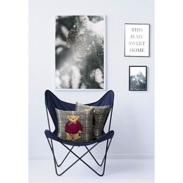 Apelt Dekokissen &raquo;Bruno&laquo; grau Obermaterial: 100% Polyester B/L: 46cm x 46cm, 1 Stk.