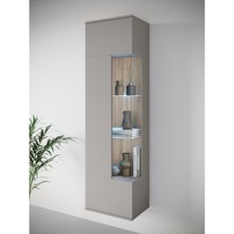 OTTO home Vitrine &raquo;Kenia, stehend und h&auml;ngend, T&uuml;ranschlag wechselbar&laquo; 1 Stk. tlg. Vitrineschrank mit Glast&uuml;ren 160 cm H&ouml;he grau B/H/T: 45cm x 161cm x