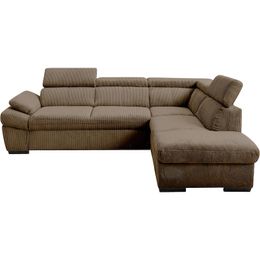 exxpo - sofa fashion Ecksofa inkl. Kopf- und Armteilverstellung, wahlweise mit Bettfunktion B/H/T: 270cm x 78cm x 207cm, Cord, Ottomane rechts, ohne 