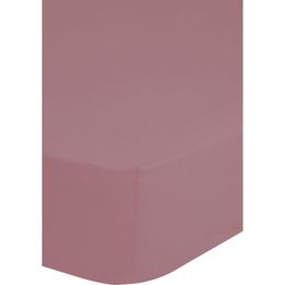 HIP Spannbettlaken &raquo; in Gr. 90x200, 140x200 oder 180x200 cm&laquo; 100% Baumwolle, Mako-Satin, Rundumgummi, bis 25 cm H&ouml;he rosa Satin, Obermaterial: 100% 