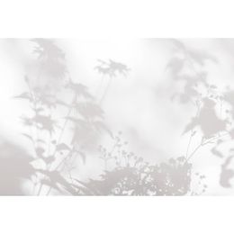 Livingwalls living walls Fototapete &raquo;Walls by Patel Shadow Room&laquo; glatt Vlies, Wand grau Vlies B/L: 4m x 2,7m