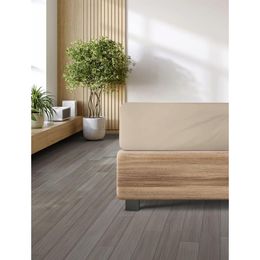 Irisette Spannbettlaken &raquo;Porto 20&laquo; besonders elastisch beige Jersey, Obermaterial: 95% Baumwolle, 5% Elasthan B/L: 180cm x 200cm, 1 Stk., Jersey, 180x200-220 