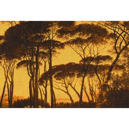 ARCHITECTS PAPER Fototapete &raquo;Atelier 47 Treetops 2&laquo; Wald glatt Vlies, Wand, Schr&auml;ge, Decke bunt Vlies B/L: 4m x 2,7m
