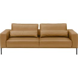 Musterring 3-Sitzer &raquo;JustB!PM100, 242 cm breit, aus hochwertigem Leder&laquo; XL-Sofa, wahlweise mit Nierenkissen und mot. Sitzauszug, Fu&szlig; schwarz braun 100% Leder B/H