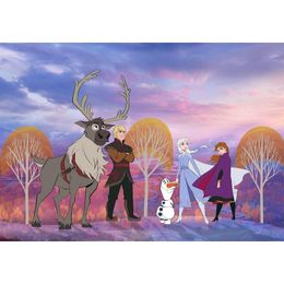 Komar Vliestapete &raquo;Digitaldruck Vlies - Frozen Autumn Forest - Gr&ouml;&szlig;e 400 x 280 cm&laquo; bedruckt glatt Kinderzimmer bunt Vlies B/L: 400m x 280m, Rollen: 1