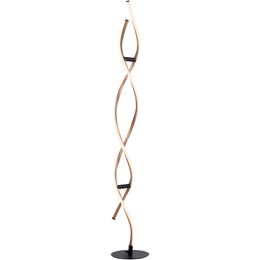 Paul Neuhaus Stehlampe &raquo;POLINA&laquo; LED-Board 1 Stk. Warmwei&szlig; LED, dimmbar &uuml;ber Schnurdimmer schwarz 1, &Oslash; 20cm, 1 Stk.