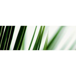 Express K&uuml;chen K&uuml;chenr&uuml;ckwand &raquo;Gr&auml;ser&laquo; gr&uuml;n B/H: 180cm x 55,9cm K&uuml;chenr&uuml;ckwand